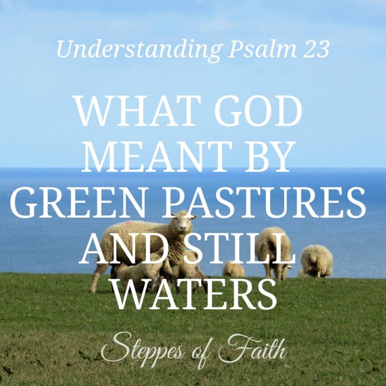 Understanding Psalm 23: The Table, the Oil, and God’s Faithfulness