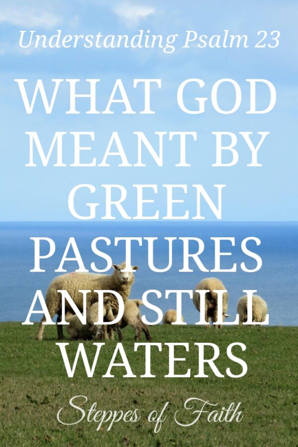 Understanding Psalm 23: What God Meant by Green Pastures and Still Waters