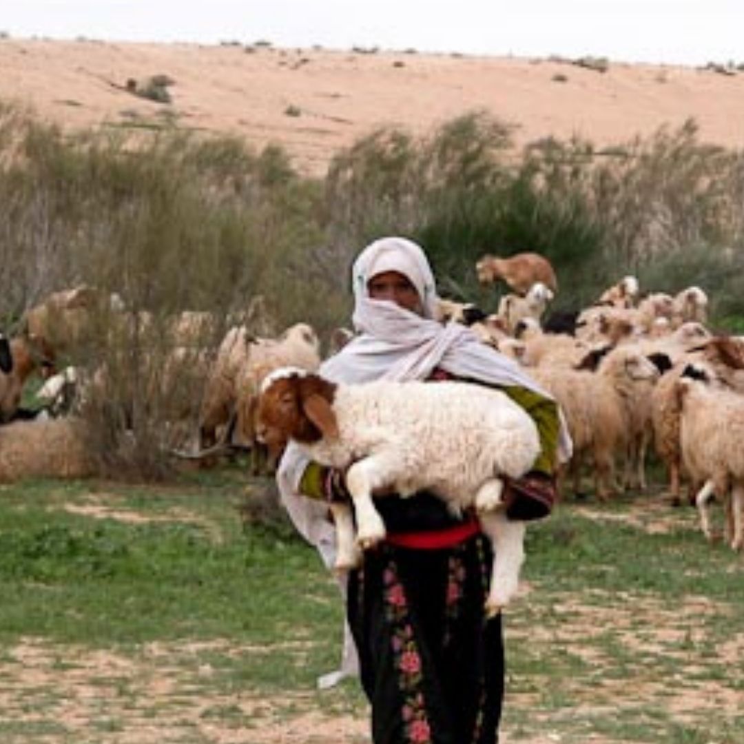 Why Jesus Leaves the 99 Sheep to Find You