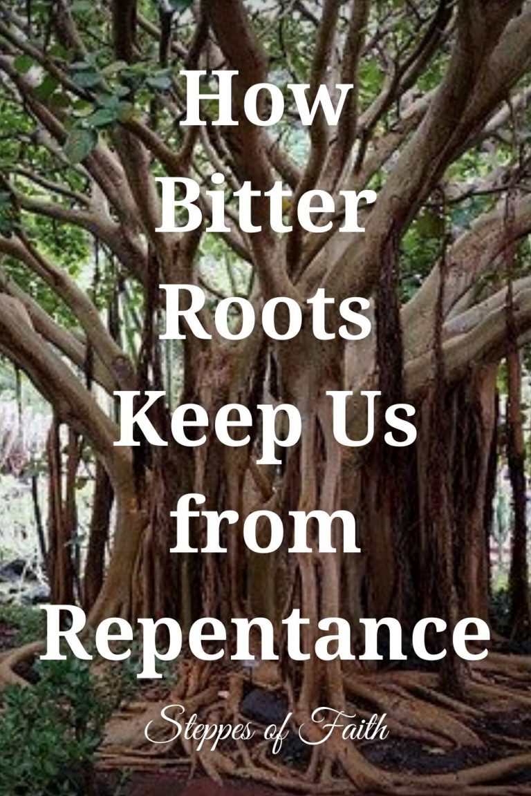 How Bitter Roots Keep Us from Repentance