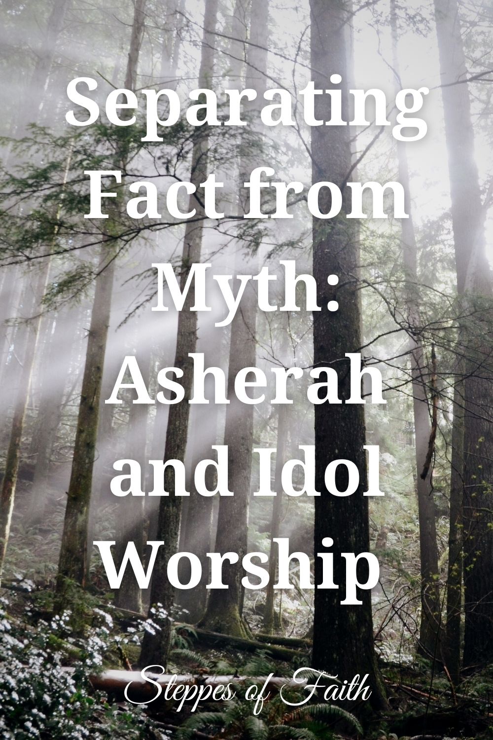 Separating Fact from Myth: Asherah and Idol Worship