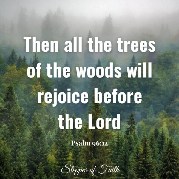 The Symbolic Meanings of 7 Trees in the Bible