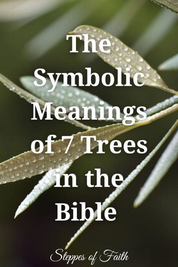 The Symbolic Meanings of 7 Trees in the Bible