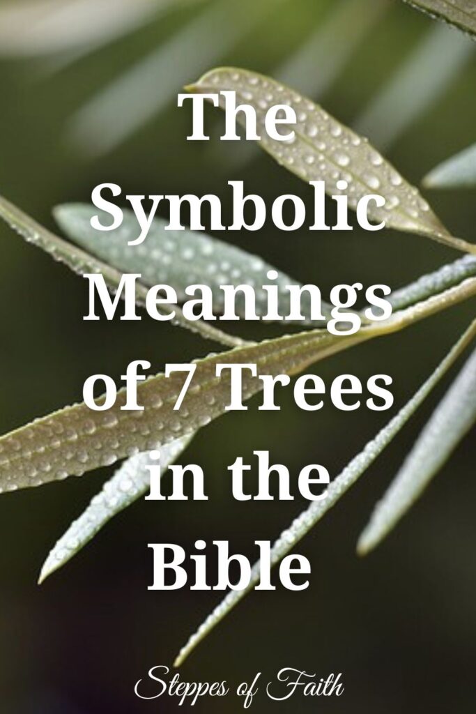 The Symbolic Meanings of 7 Trees in the Bible