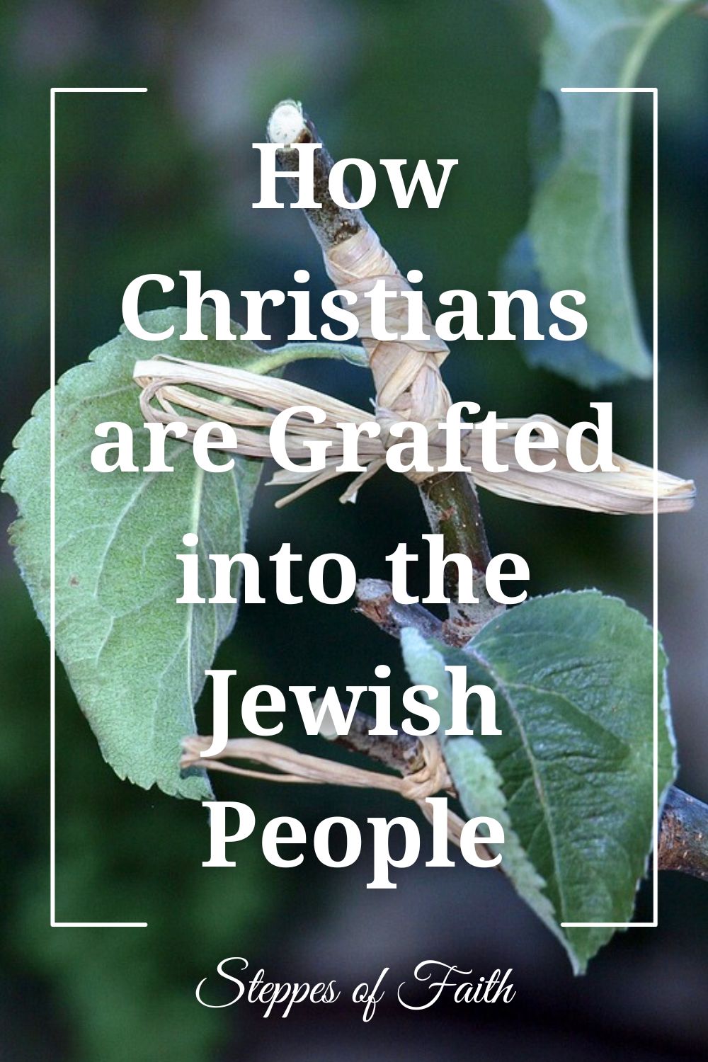 How Christians are Grafted into the Jewish People
