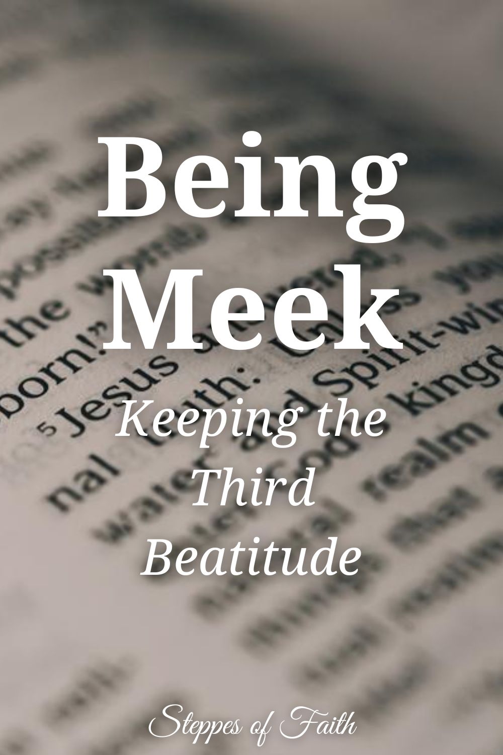 Being Meek: Keeping the Third Beatitude